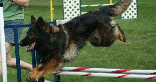 A Big Day For Cardinal